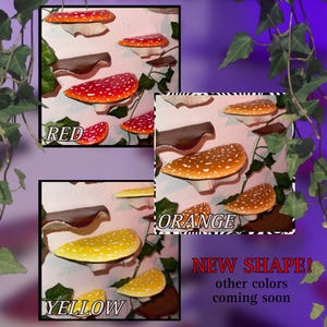 Handmade Floating Mushroom Shelf Decor; Display,collection,crystals ...