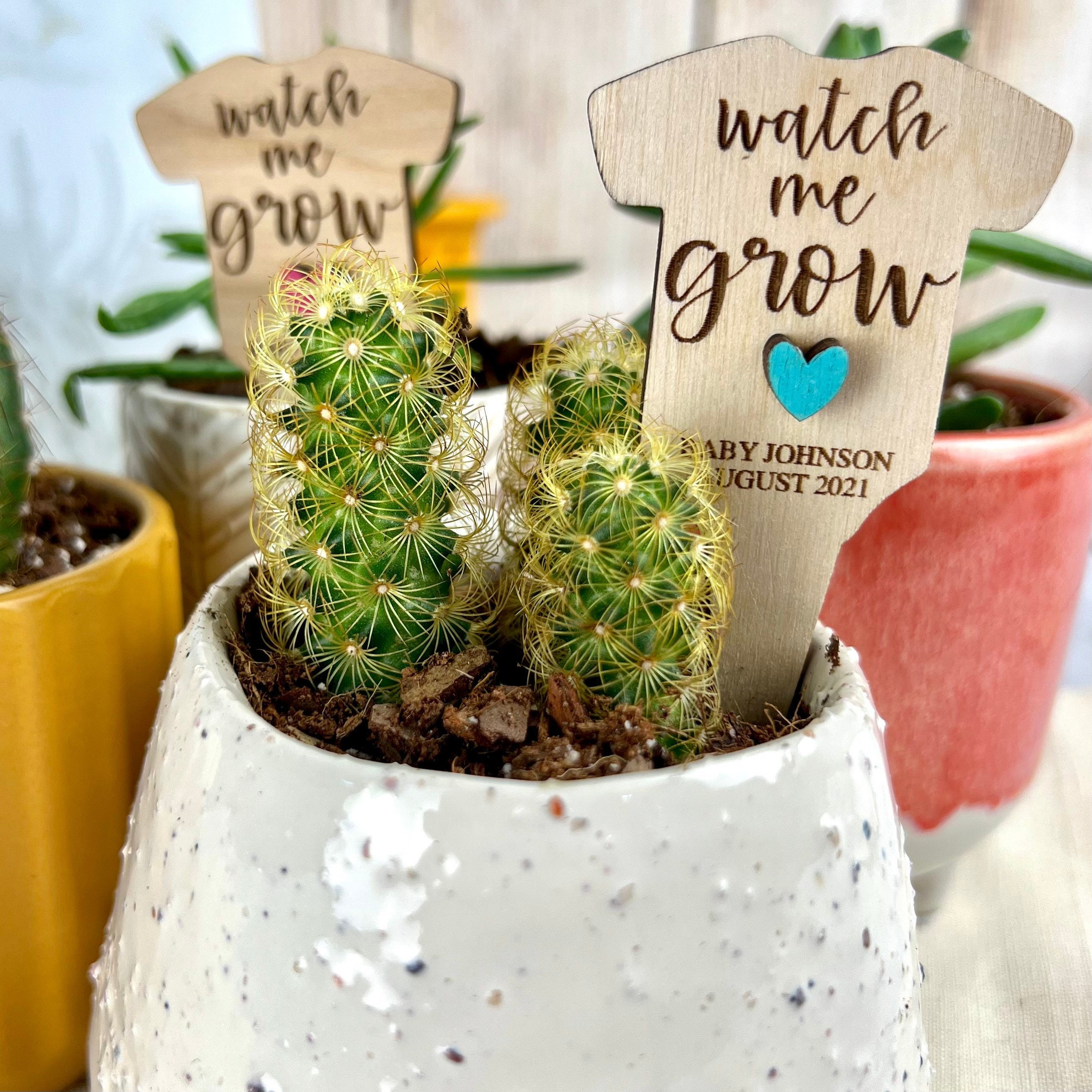 Watch Me Grow Tag Succulent Personalized Custom Baby - Etsy
