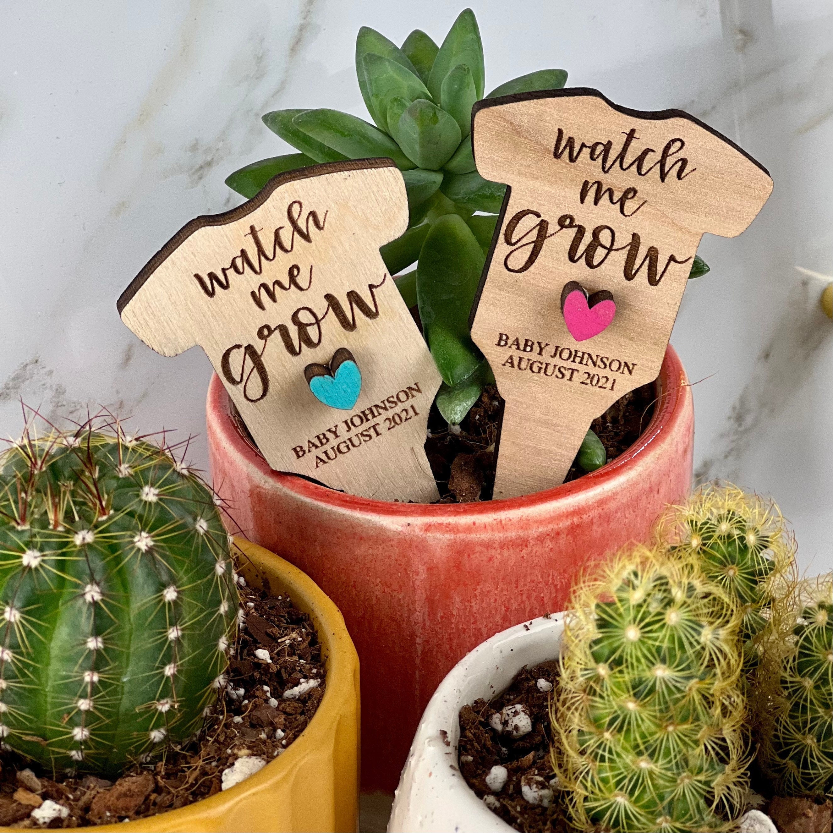 Watch Me Grow Tag Succulent Personalized Custom Baby - Etsy
