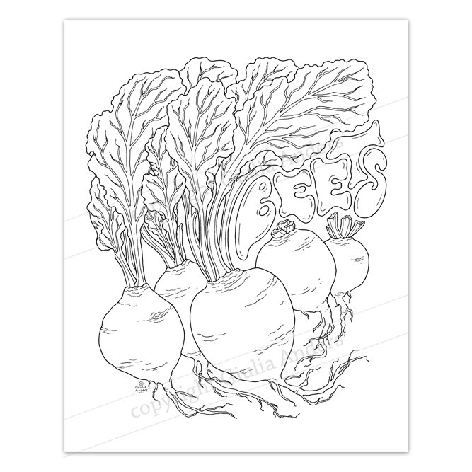 BEETS Coloring Page, PDF, 8.5x11”, A4, Printable Downloadable Adult ...
