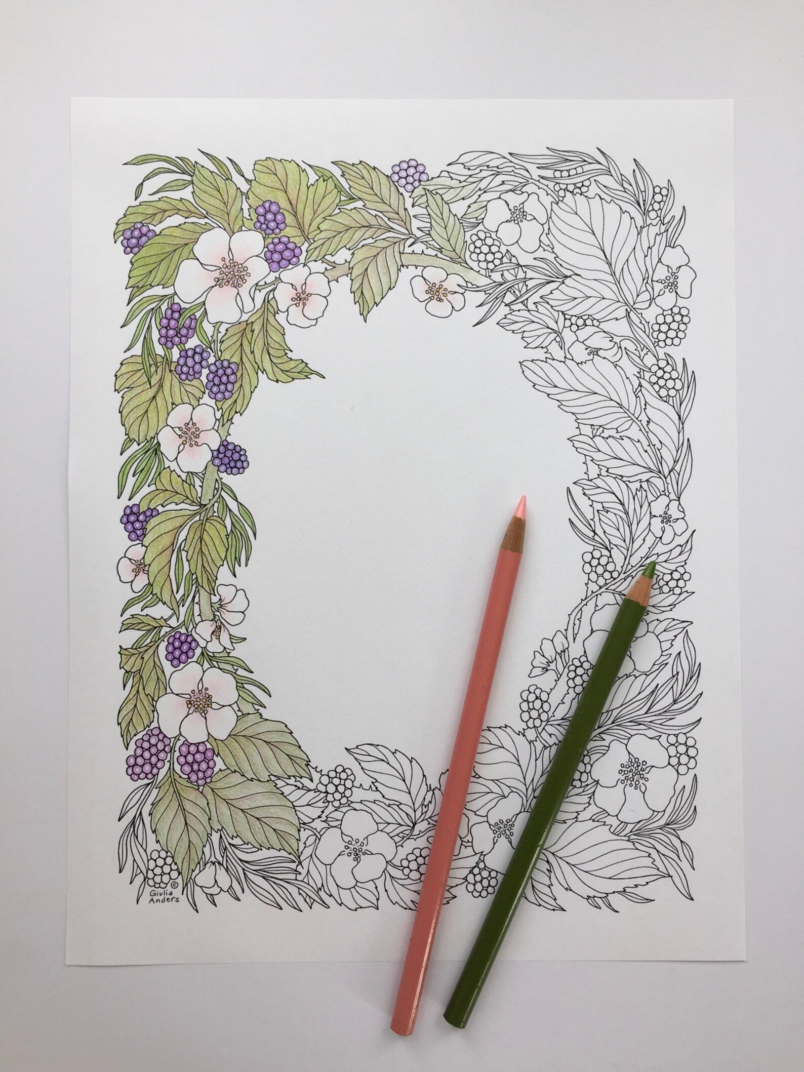 Blackberry Border Coloring Page, 8.5x11” Downloadable Adult Coloring ...