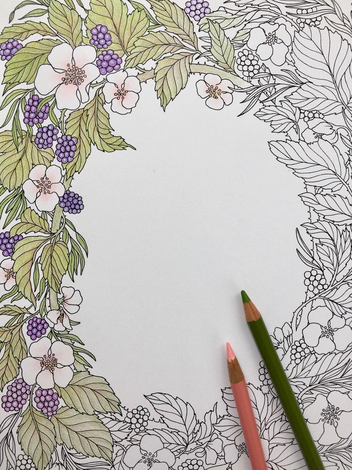 Blackberry Border Coloring Page, 8.5x11” Downloadable Adult Coloring ...