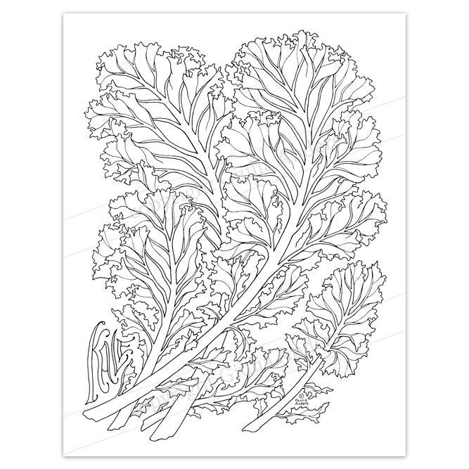 Kale, Printable Coloring Page, PDF, 8.5x11”, A4, Downloadable Adult ...