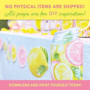 Pink Lemonade Decorations Bundle Package PRINTABLE, Lemon Birthday ...