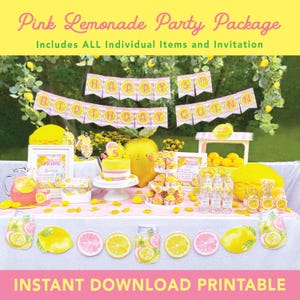 Pink Lemonade Decorations Bundle Package PRINTABLE, Lemon Birthday ...