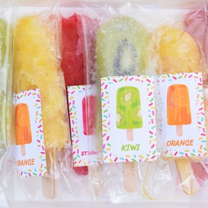 Popsicle Flavor Labels, Ice Pop Flavor Label Tag, Popsicle Flavor Tag ...