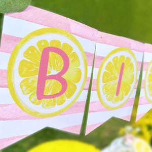 Pink Lemonade Decorations Bundle Package PRINTABLE, Lemon Birthday ...