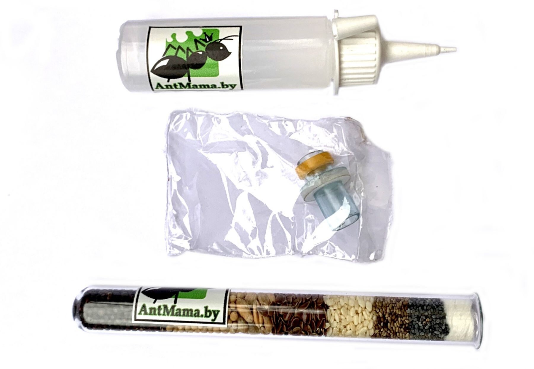 Formicarium horizontal Granja de hormigas Mini Cosmos - Etsy México