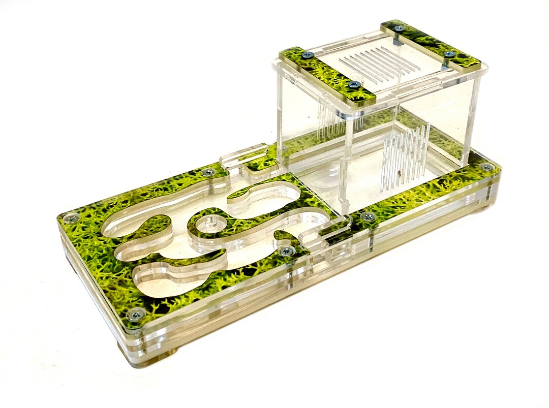 Formicarium horizontal Granja de hormigas Mini Cosmos - Etsy México