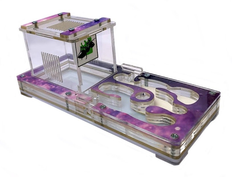Formicarium horizontal Granja de hormigas Mini Cosmos - Etsy México