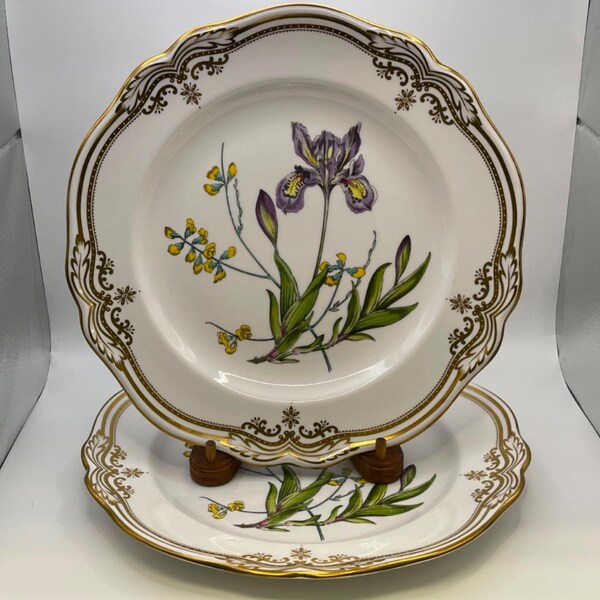 Spode - Etsy