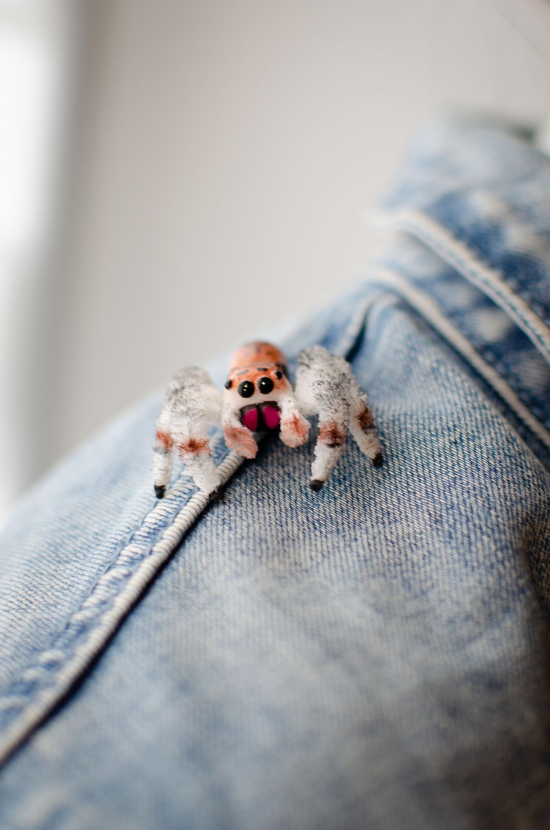 Poseable Jumping Spider Pin: Realistic Bug Brooch With Pink Fangs - Etsy