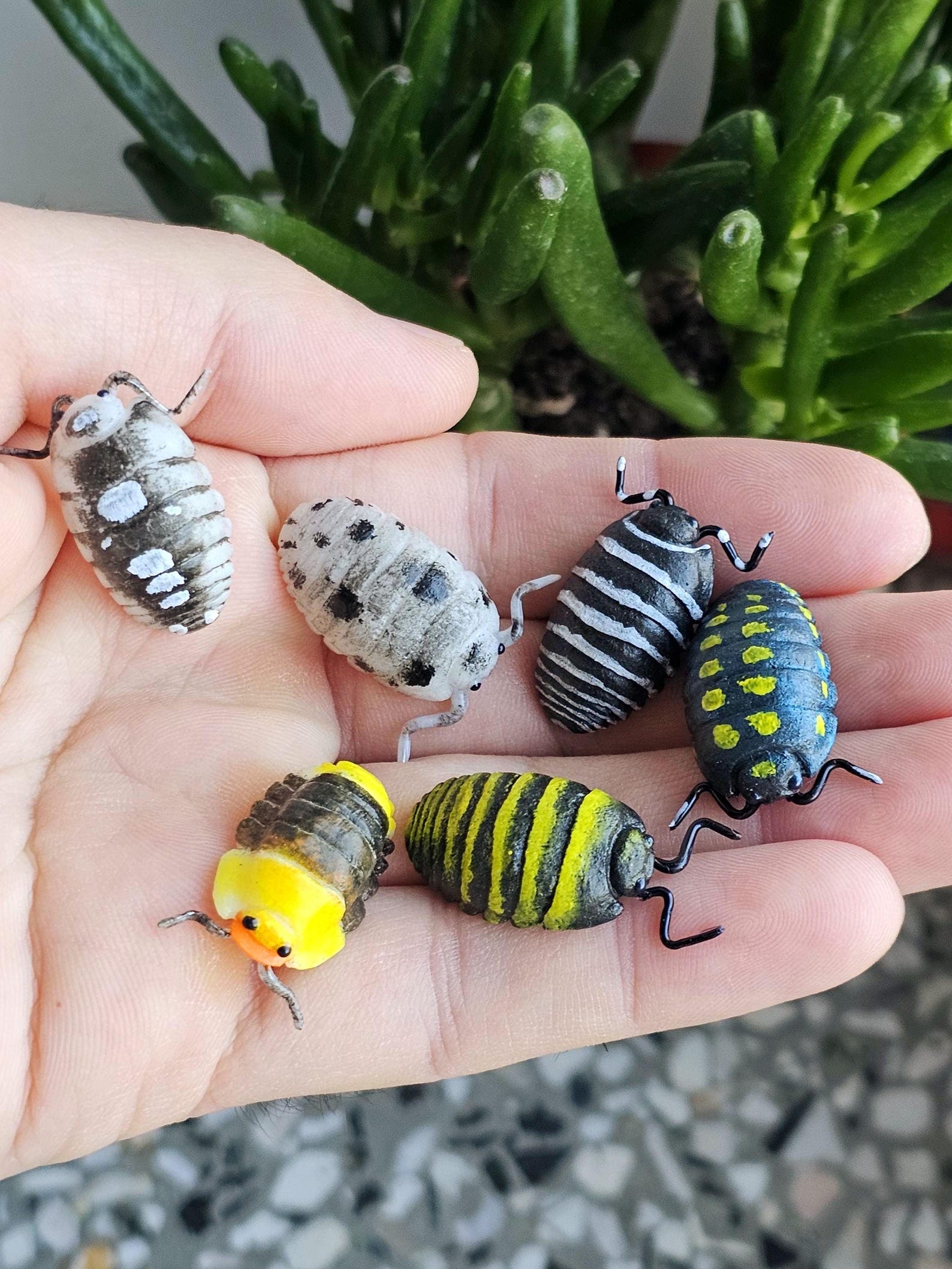 Realistic Isopod Pin 6 Breeds of Your Choice and Custom Color Isopod - Etsy