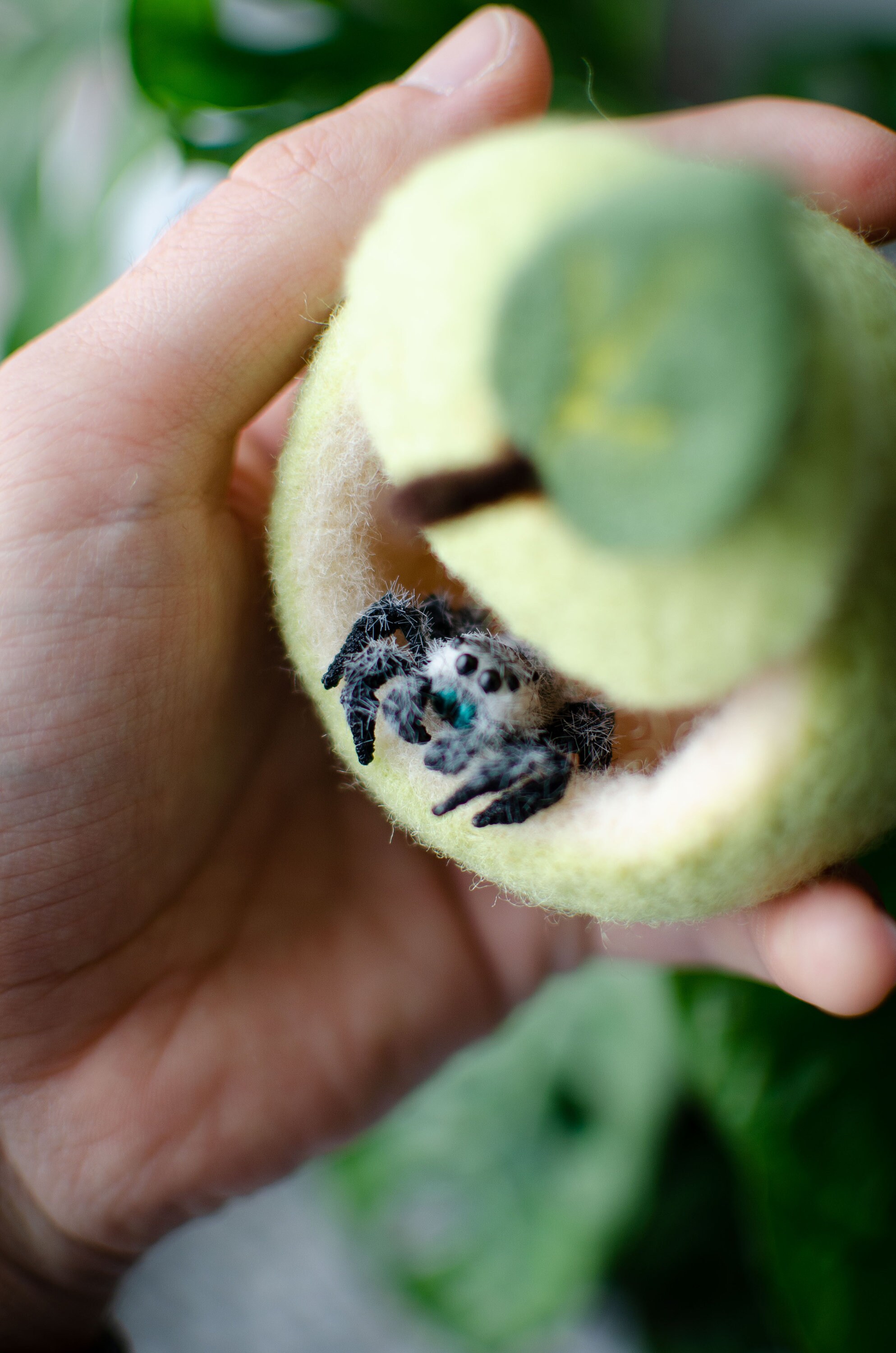 Baby Jumping Spider Realistic Figurine, Miniature Poseable Toy, Creepy ...