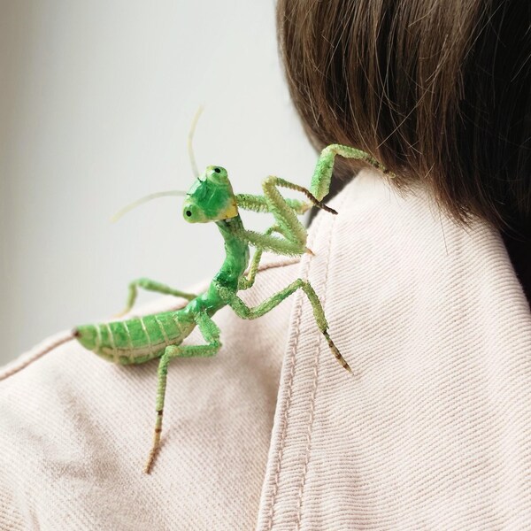 Praying Mantis Pin - Etsy