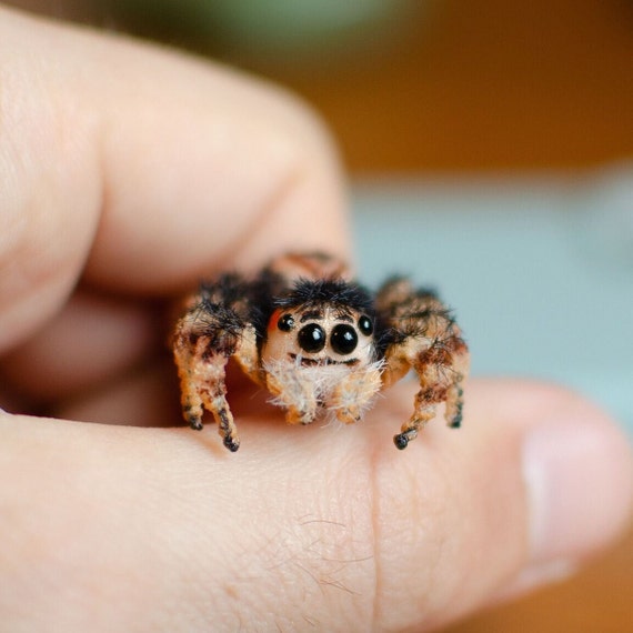 Tiny Baby Jumping Spider Realistic Figurine Miniature Poseable Toy Creepy Gift Regal Spider Arachnida Cute Kawaii Monster Made to Order Etsy UK