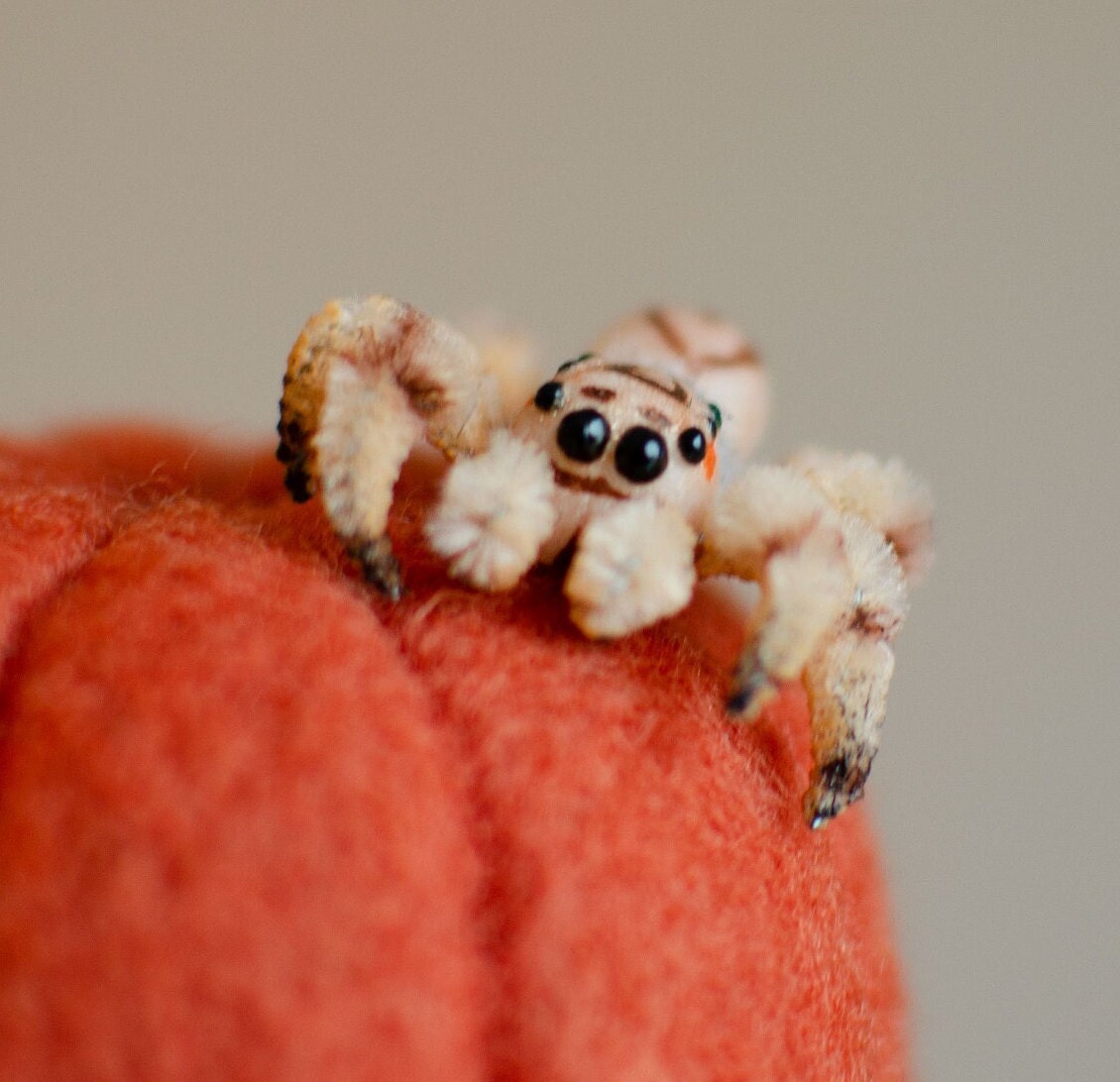 Tiny Jumping Spider Realistic Figurine, Miniature Poseable Doll, Creepy ...