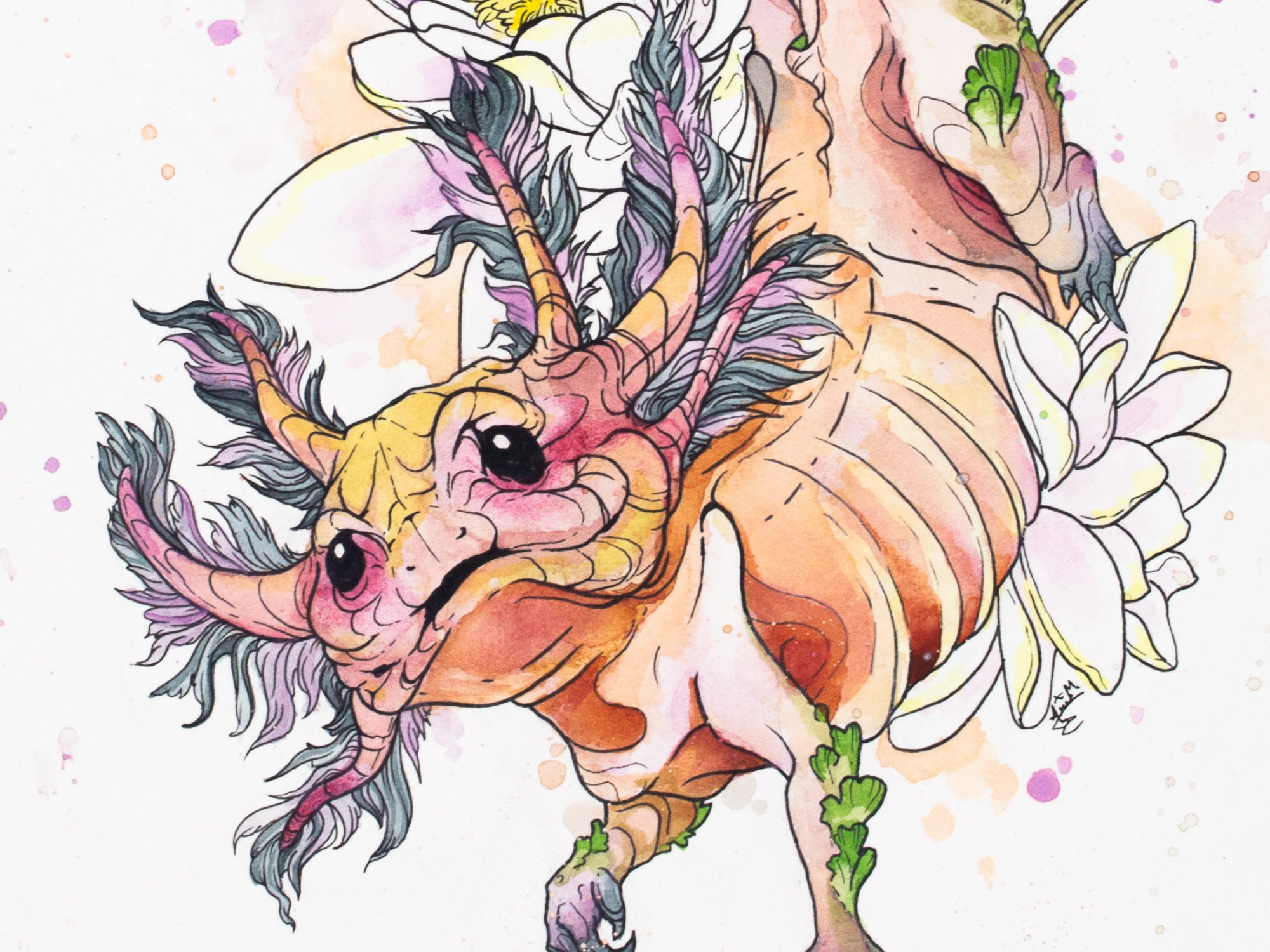 Axolotl Lotus 5x7in. Watercolor Art Print Giclee Print of a Cute ...