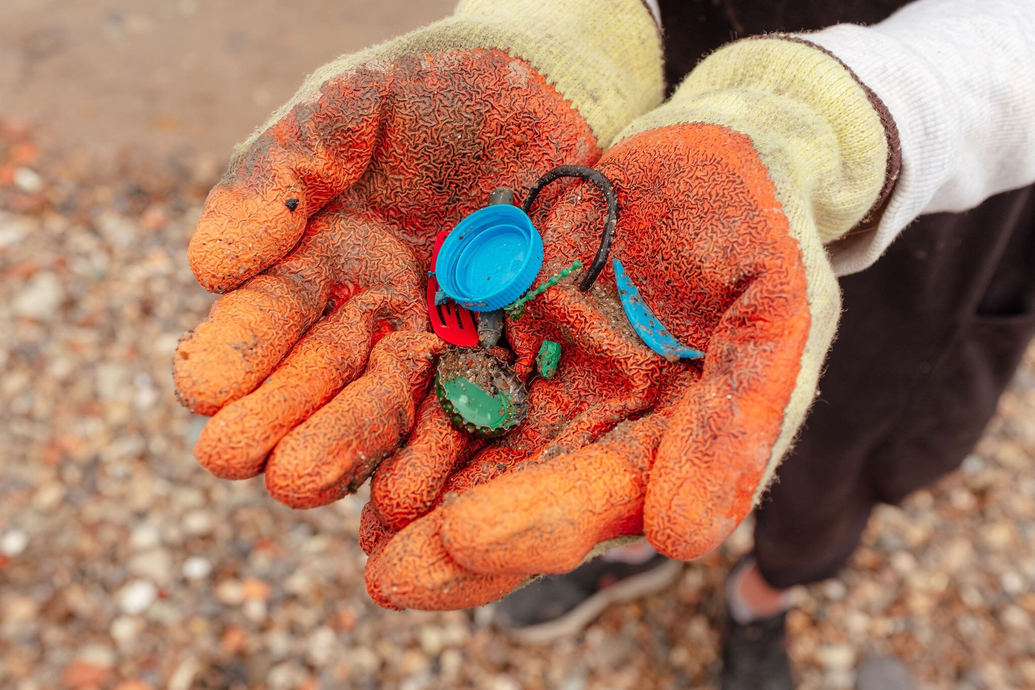 Have a Paw-some Birthday! Eco Birthday Card, Cute Dog Birthday Card ...