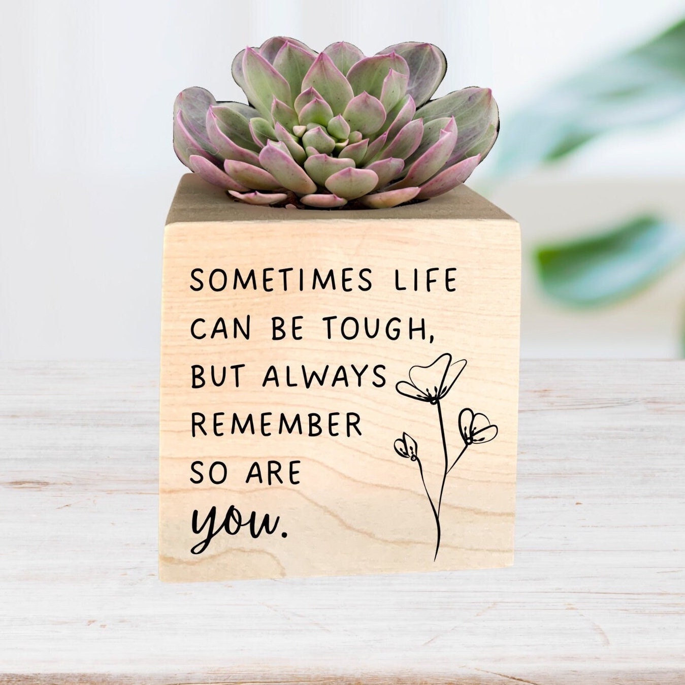 Stay Strong Succulent Gift Box Thinking of You You Got This Sympathy ...