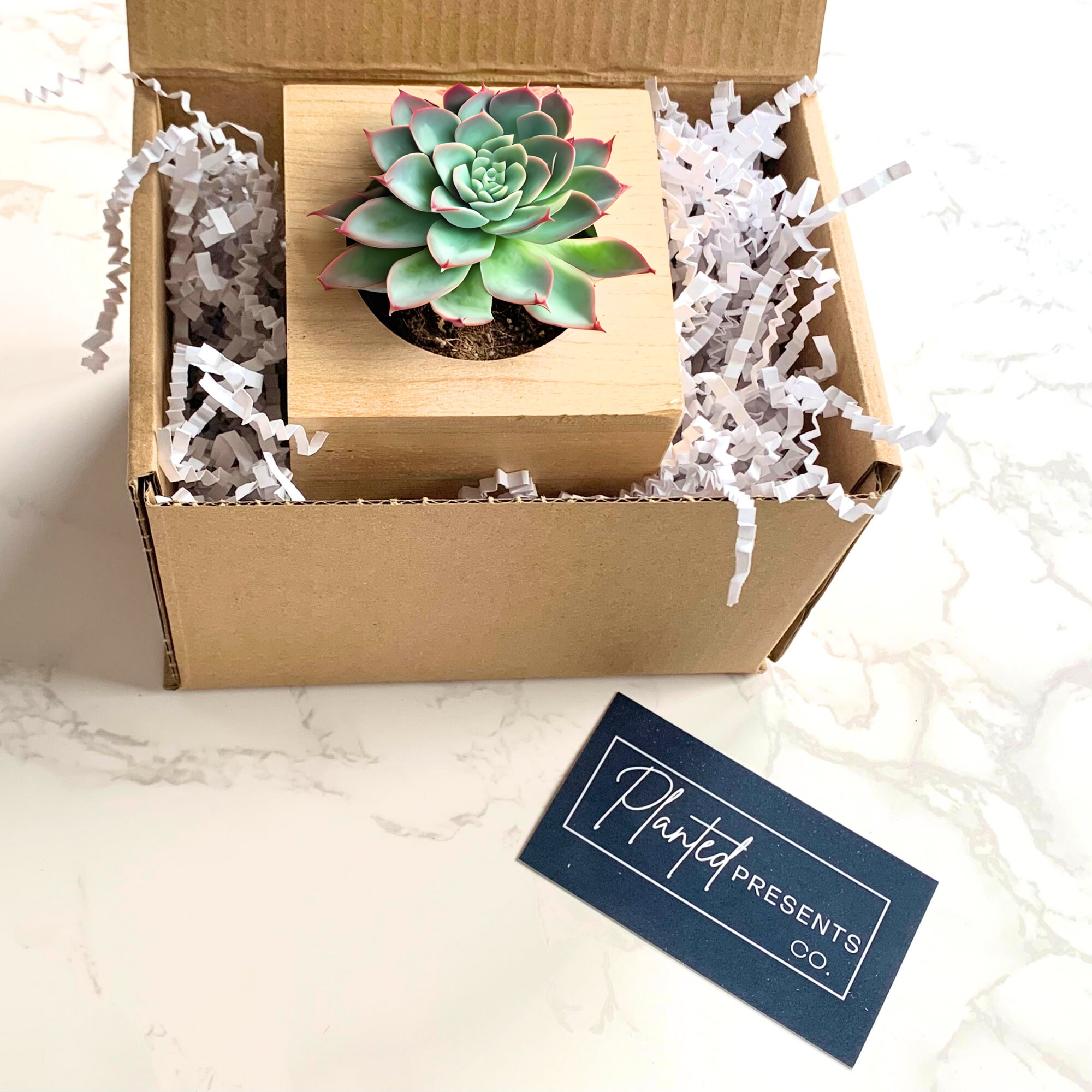 Stay Strong Succulent Gift Box Thinking of You You Got This Sympathy ...