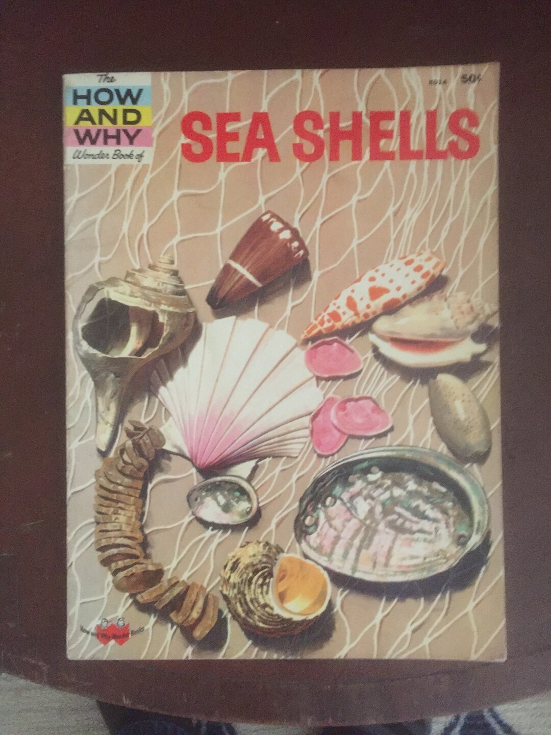 The How and Why Wonder Book of Seashells - Etsy