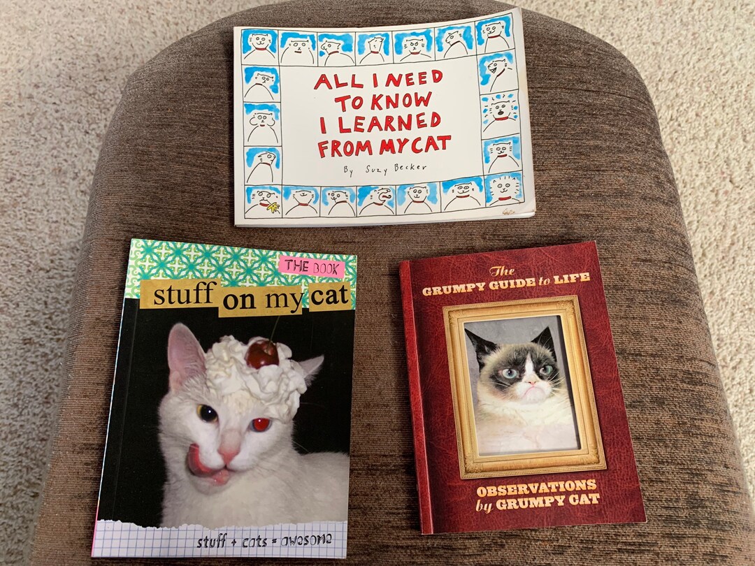3 Cat Humor Books - Etsy