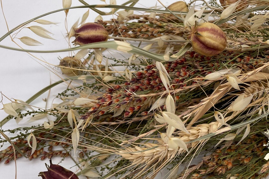Dried Flower Desktop Wallpaper, Boho Digital Background, Aesthetic Mac ...