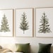 Christmas Tree Wall Art Set of 3, 3 Piece Christmas Wall Art, Christmas ...