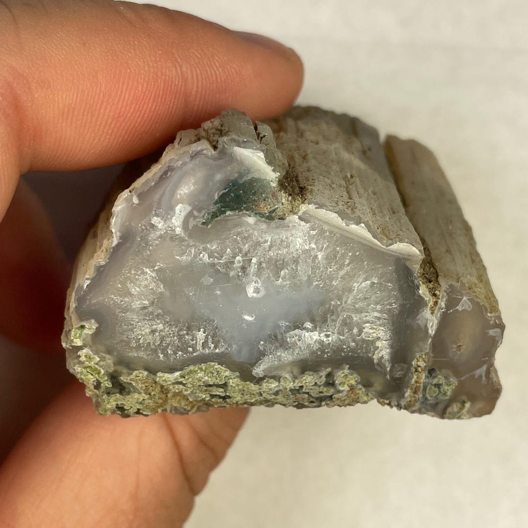 Agate Limb Cast, Congleton Hollow, Crook County Oregon, Ancient Fossil ...