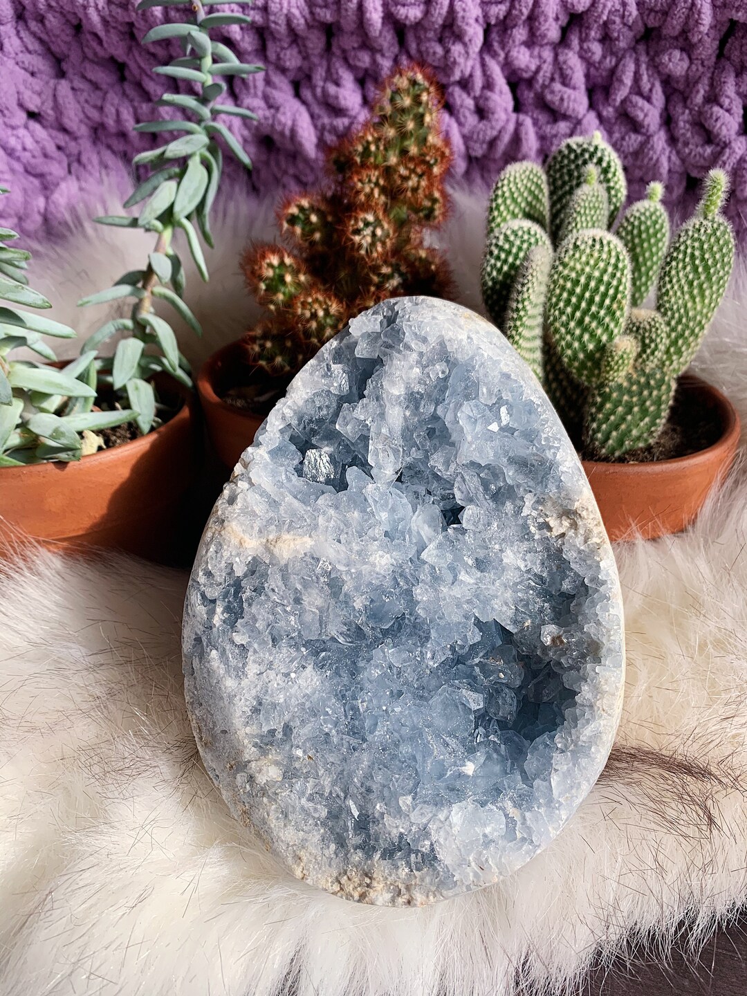 CLEARANCE XXXL 4.7lb Celestite Druzy Cave Egg Shape Celestite Blue ...