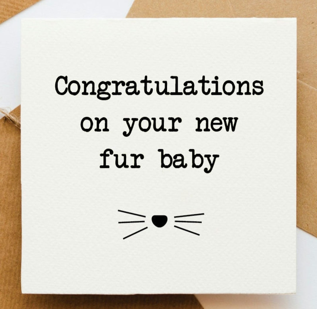Congratulations on Your New Furbaby (cat), Getting a Cat Card, Cat ...