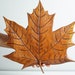 Wooden Maple Leaf Wall Art, Wood Carving Wall Art, Leaf Wall Decor ...