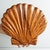 Seashell Wall Decor, Wall Art, Wood Carving, Seashell Sculpture ...