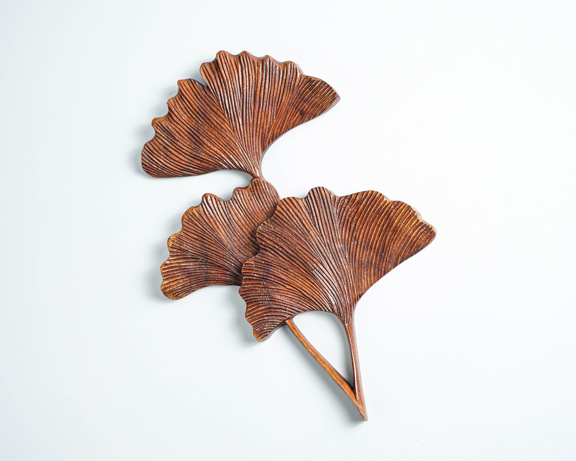 Ginkgo Leaf Wall Decor Ginkgophyta Leaf Wall Art - Etsy