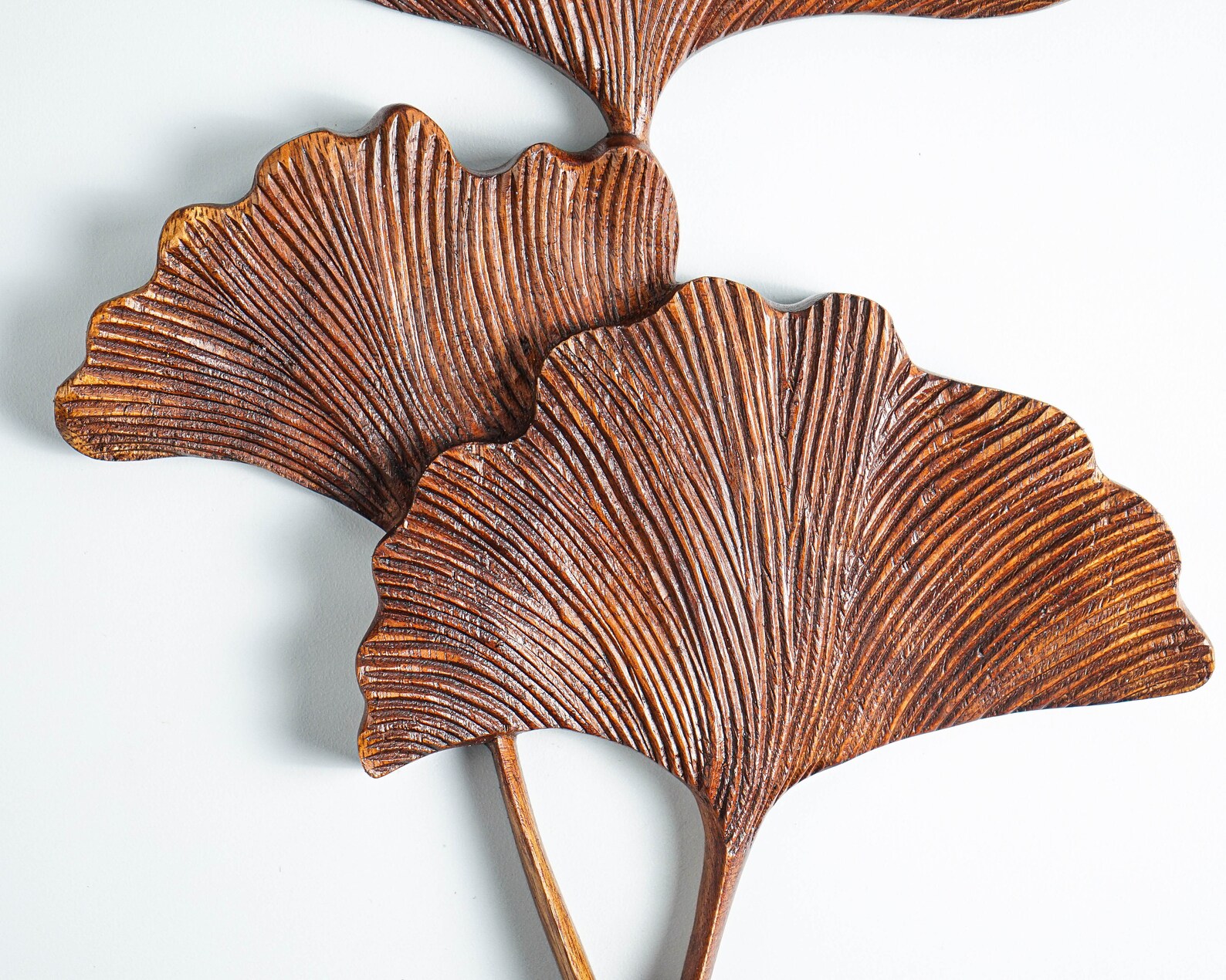 Ginkgo Leaf Wall Decor Ginkgophyta Leaf Wall Art - Etsy