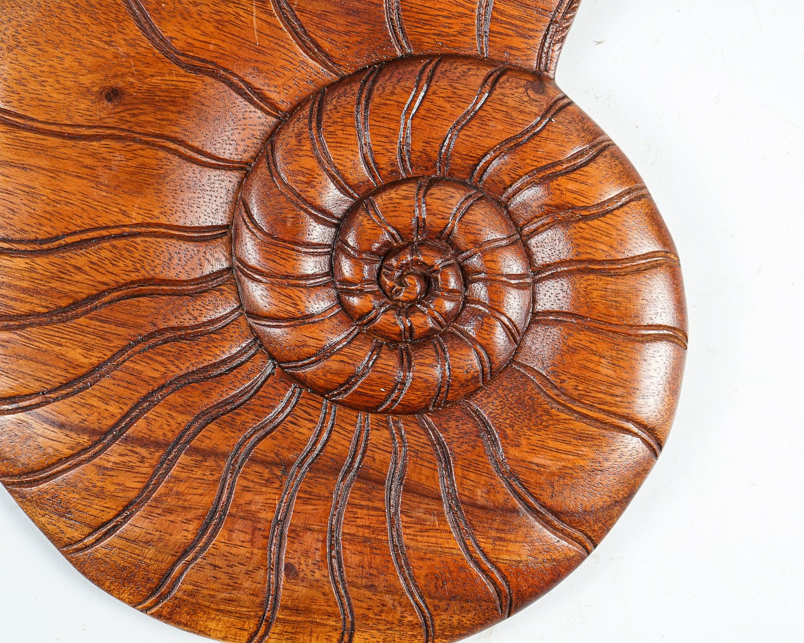 Seashell Wall Decor Wall Art Wood Carving Seashell | Etsy