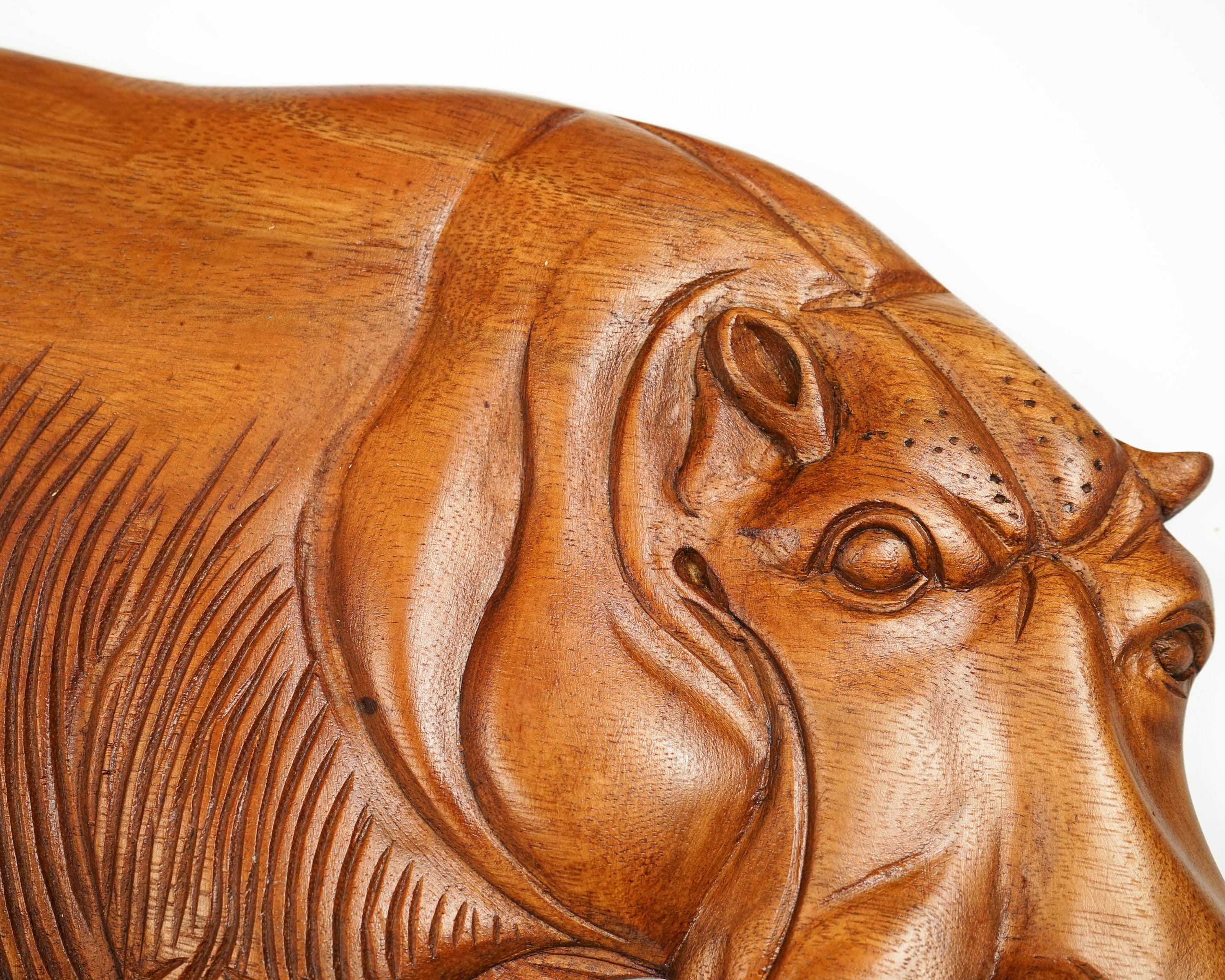 Hippo Wall Decor Coastal Wall Art Wild Animal Wood Carving - Etsy