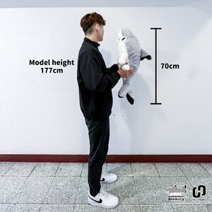 Sharkitty Plushie 70cm , Sharkitty - Etsy