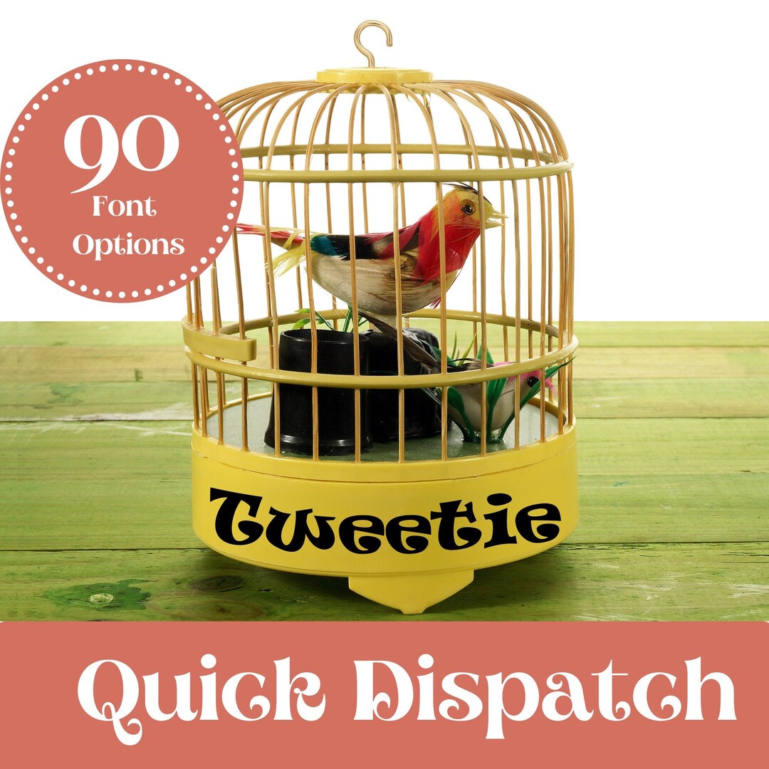 Decal Vinyl Bird Name Stickers, Custom Birdird Decals, Personalised ...