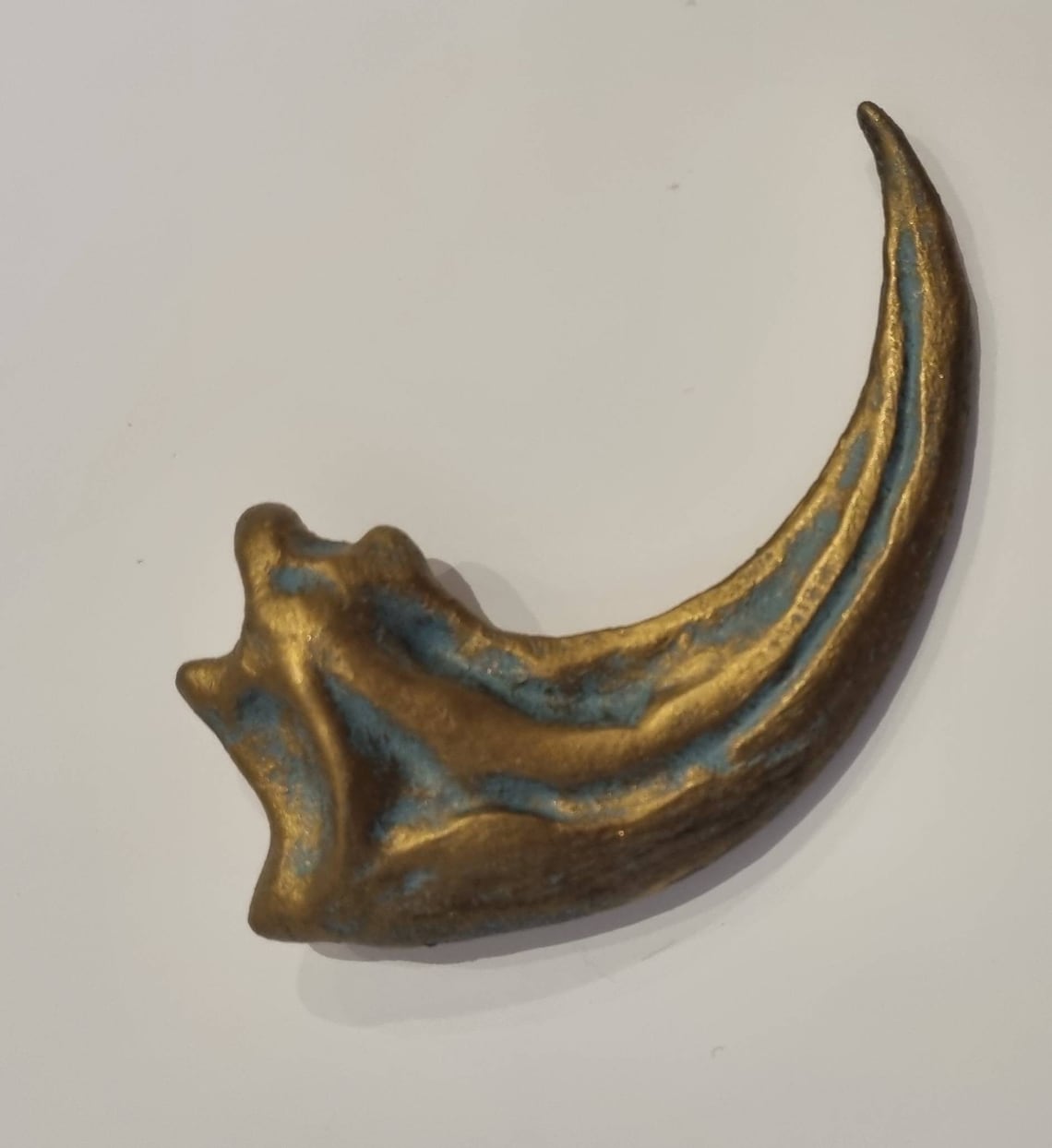 Small Velociraptor Claw (patina, Shiny) - Etsy
