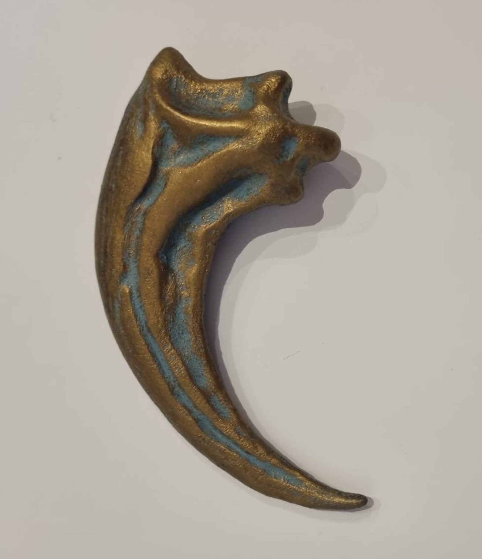 Small Velociraptor Claw (patina, Shiny) - Etsy