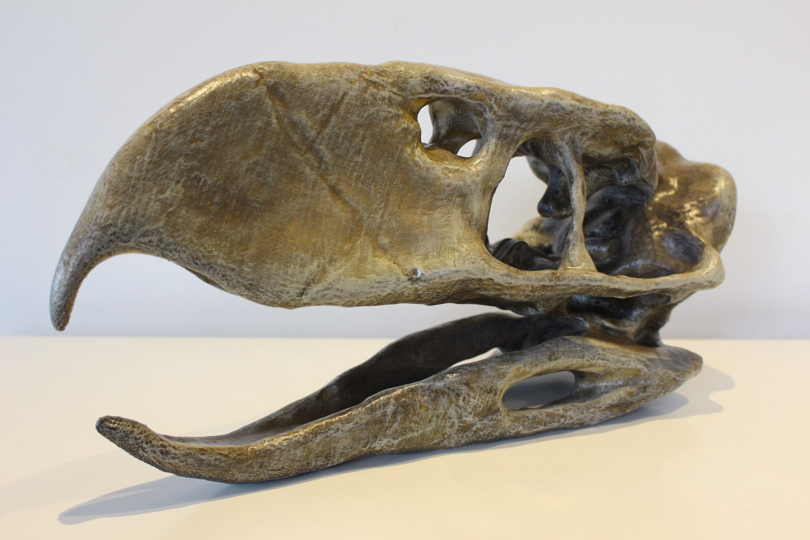 1:1 Terror Bird Skull / Terror Bird Skull | Etsy