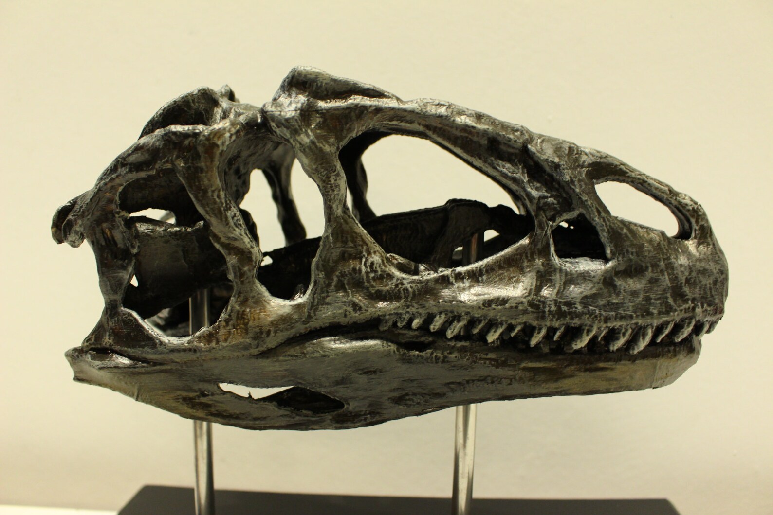 Allosaurus Schädel Fossil | Etsy