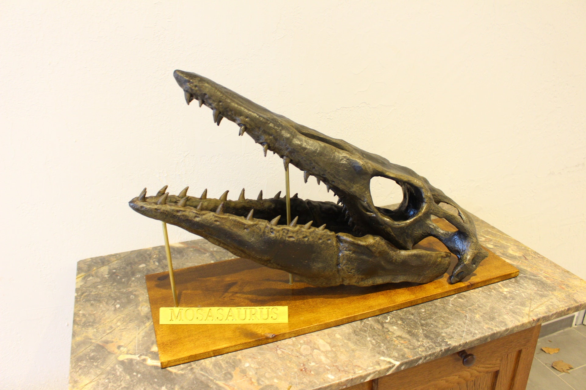 Limited Edition Mosasaurus Skull Fossil black - Etsy UK