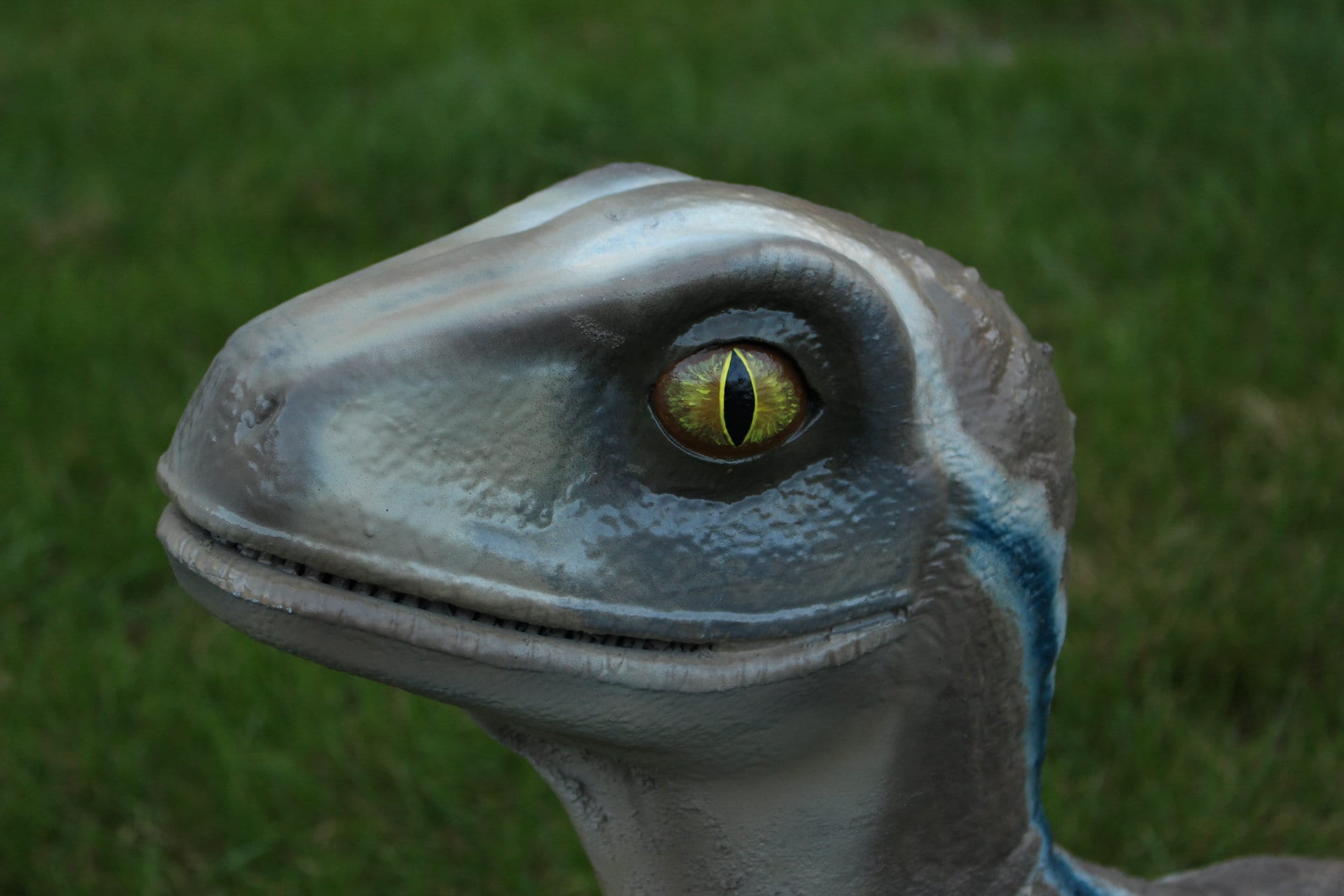 Baby Velociraptor Dinosaur Velo Dino Prehistoric Monster - Etsy Australia