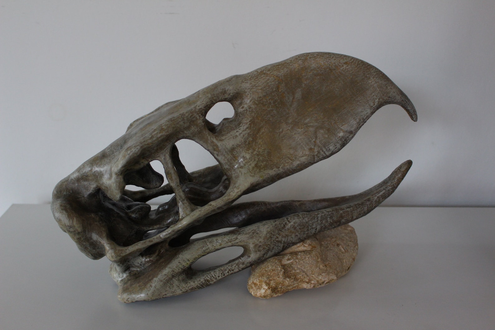 1:1 Terror Bird Skull / Terror Bird Skull - Etsy