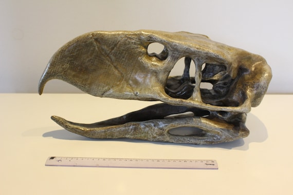 Terror Bird Skeleton