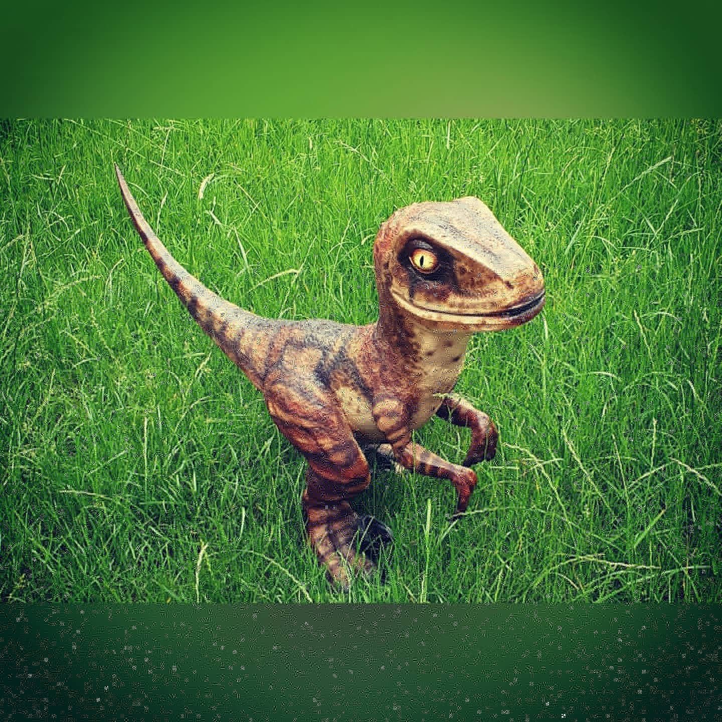 Baby Velociraptor Dinosaur Velo Dino Prehistoric Monster - Etsy Ireland