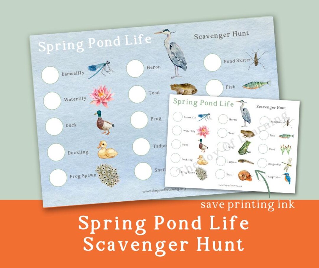 Spring Pond Life • Scavenger Hunt | Nature-themed Activity | Classroom ...